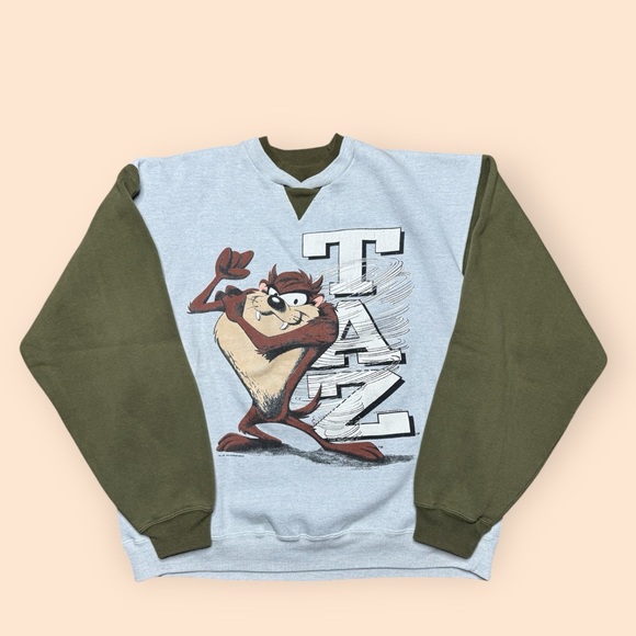 Warner Bros. | Shirts | Vintage 99s Taz Crewneck Sweatshirt Color Block ...